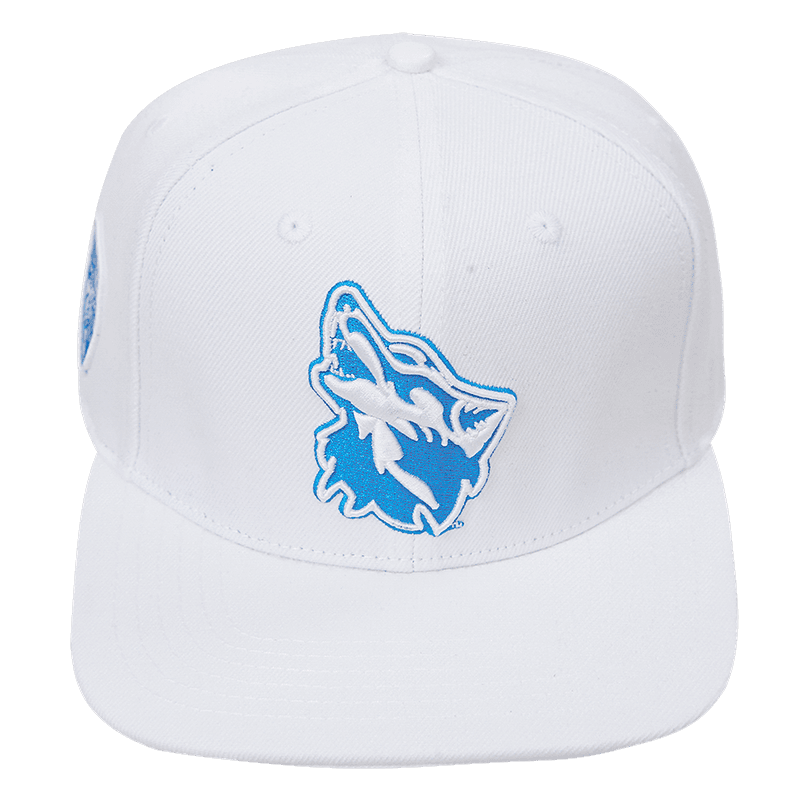 CHEYNEY UNIVERSITY CLASSIC UNISEX WOOL SNAPBACK HAT (WHITE) – Pro Standard